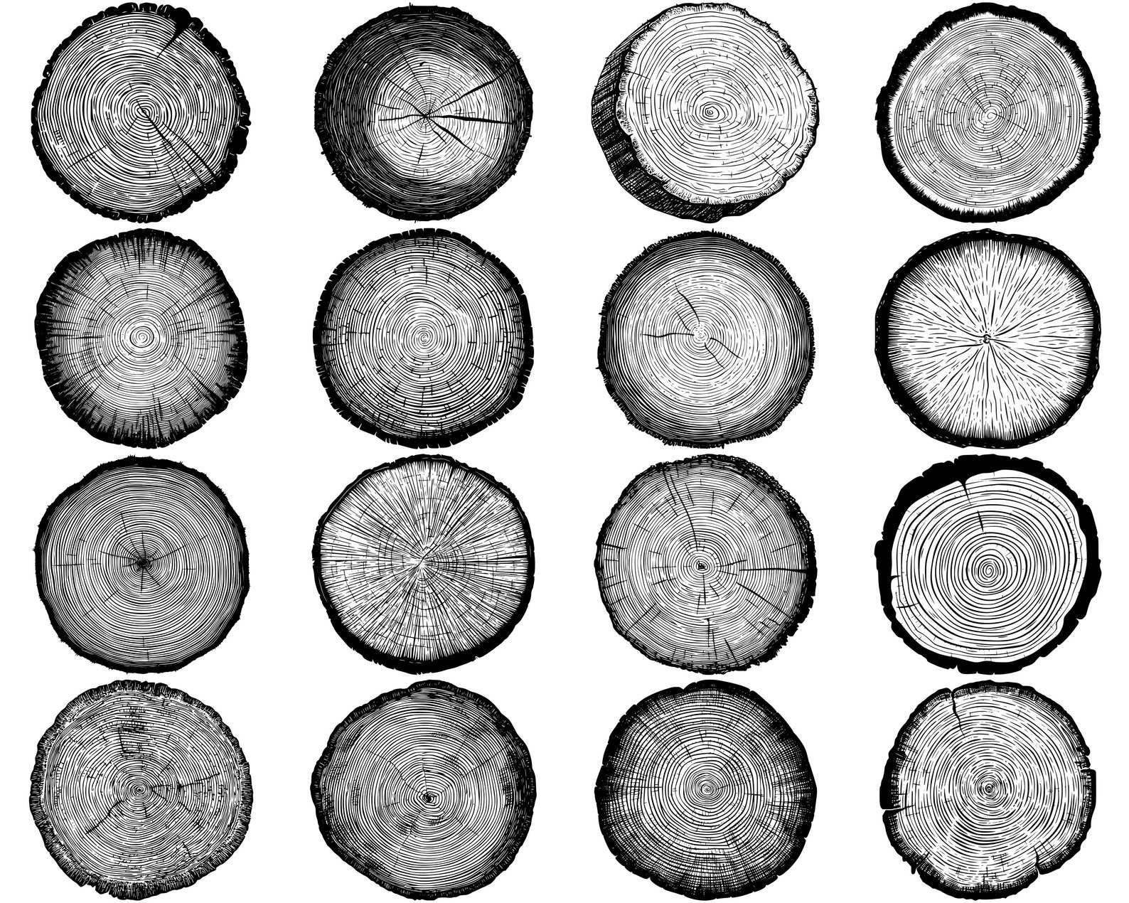 100+ Tree Slice Slab SVG Bundle, Instant Digital Download, PNG, SVG Cut ...