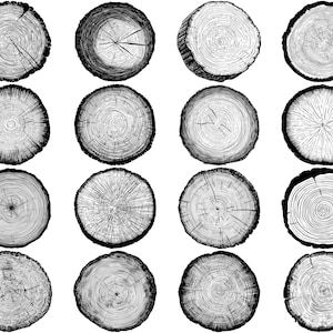 100+ Tree Slice Slab SVG Bundle, Instant Digital Download, PNG, SVG Cut ...