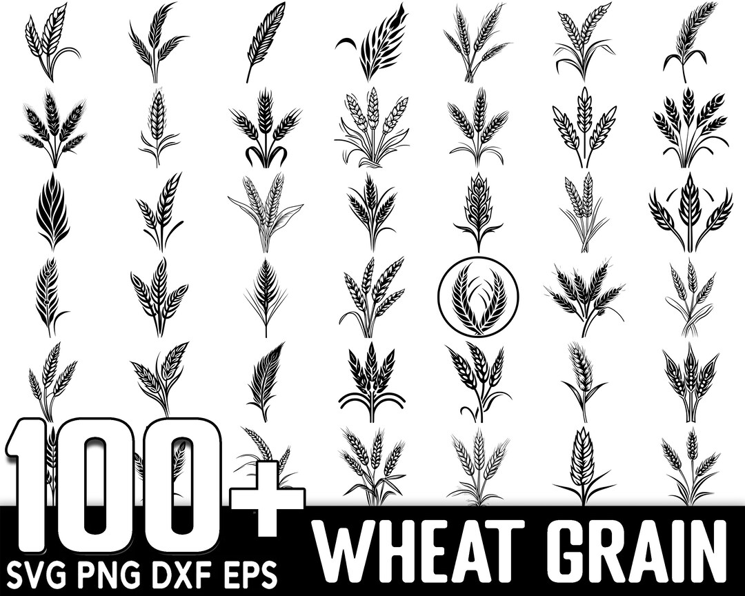 100+ Wheat Grain SVG Bundle, Instant Digital Download, PNG, SVG Cut ...
