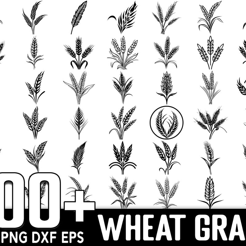 Wheat Svg - Etsy