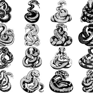 100+ Snake King Cobra, Instant Digital Download, PNG, SVG Cut Files - Etsy