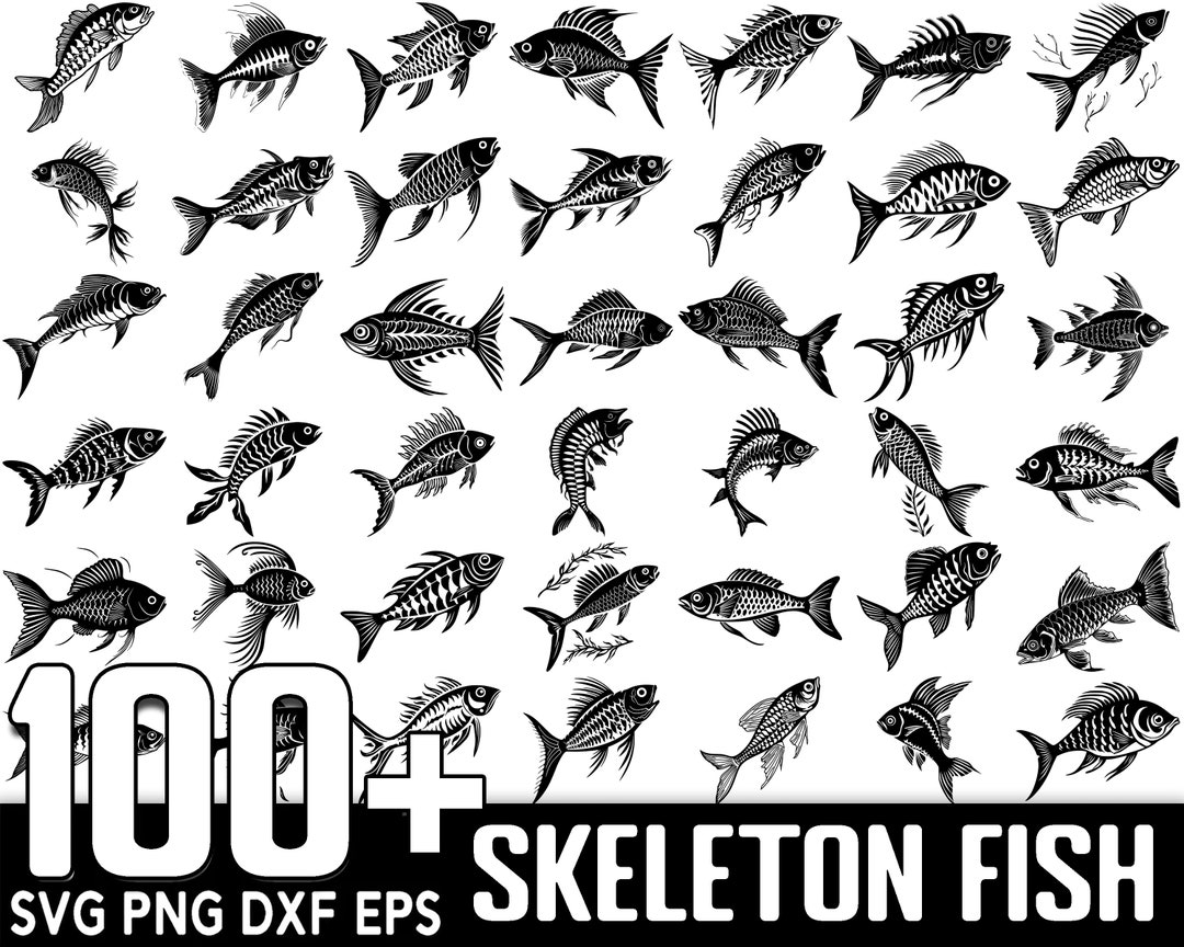 100+ Skeleton Fish SVG Bundle, Instant Digital Download, PNG, SVG Cut ...