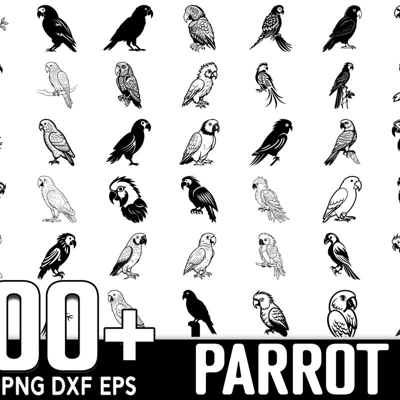 Parrot - Etsy