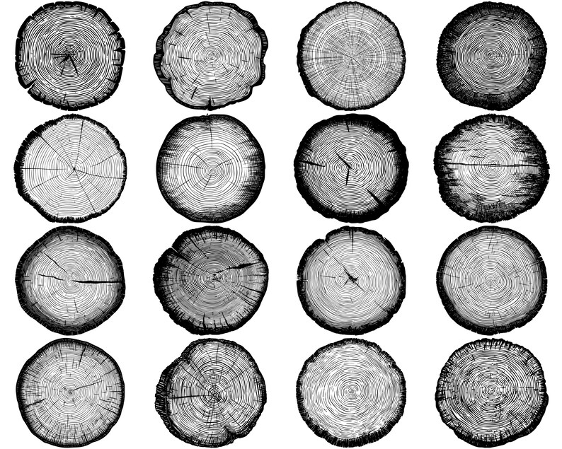 100+ Tree Slice Slab SVG Bundle, Instant Digital Download, PNG, SVG Cut ...