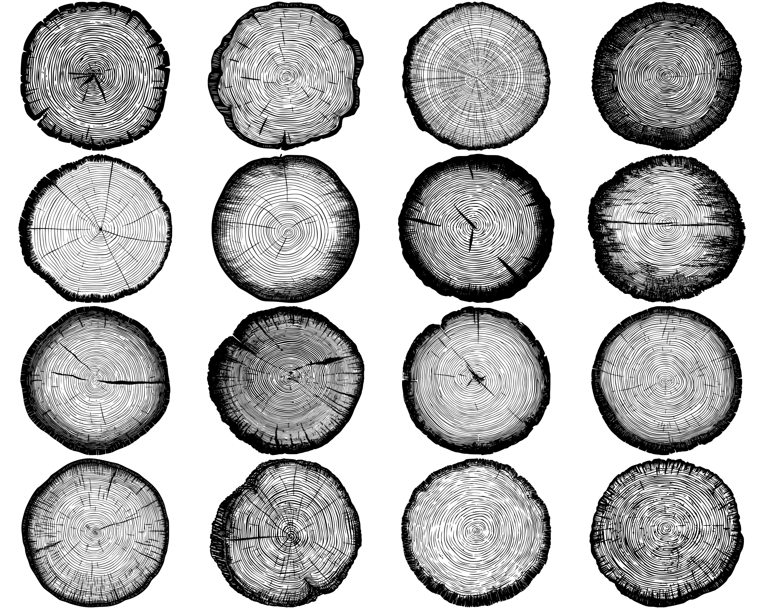 100+ Tree Slice Slab SVG Bundle, Instant Digital Download, PNG, SVG Cut ...