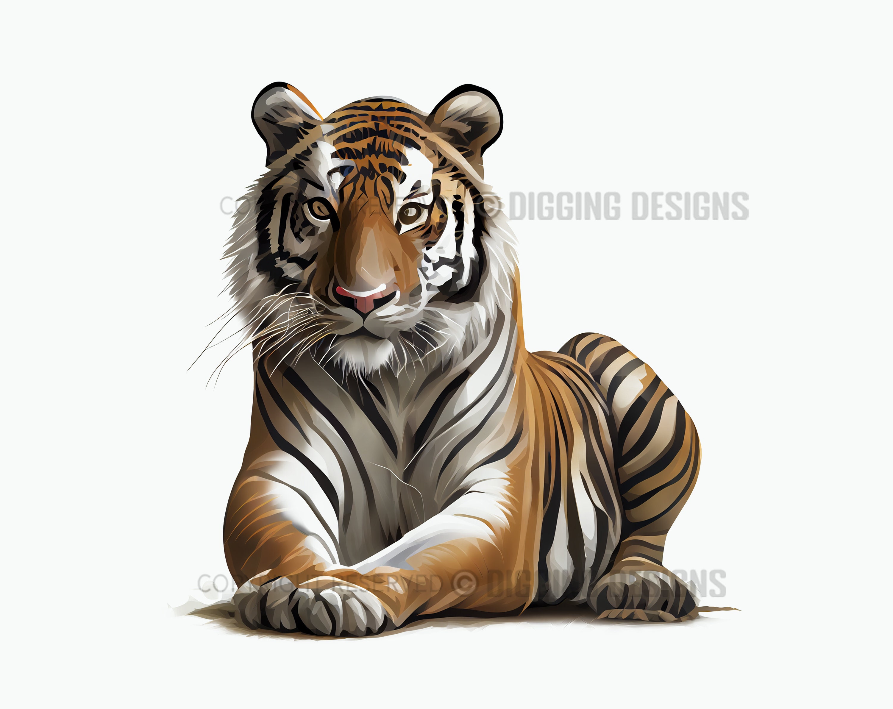 Tiger Realistic Clipart, Tiger Clip Art, Premium Quality Arts, Instant ...