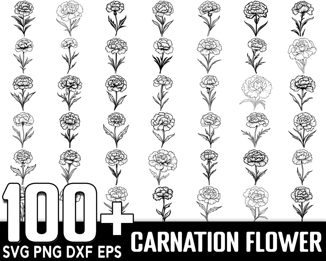 100+ Carnation Flower SVG Bundle, Instant Digital Download, PNG, SVG ...