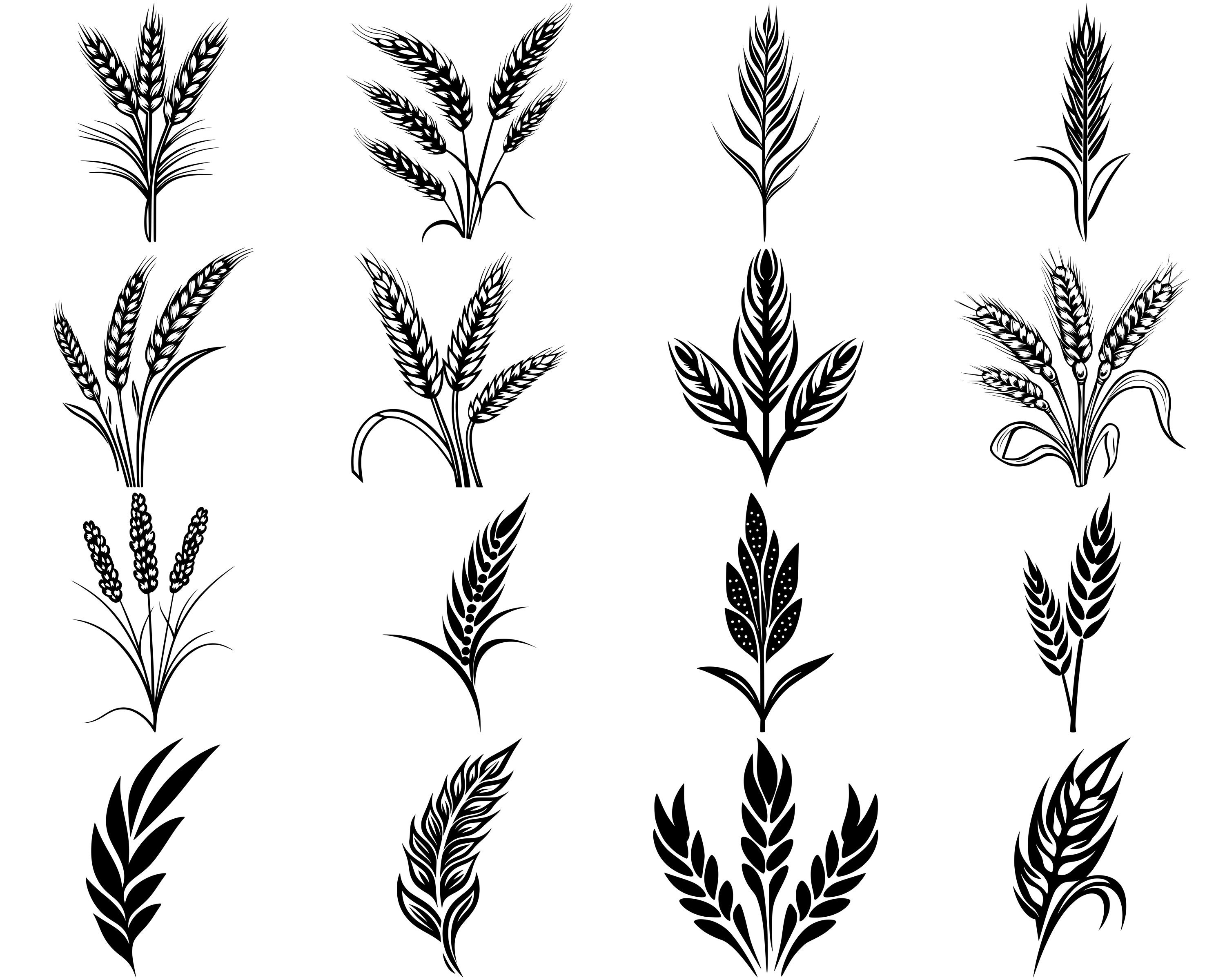 100+ Wheat Grain SVG Bundle, Instant Digital Download, PNG, SVG Cut ...