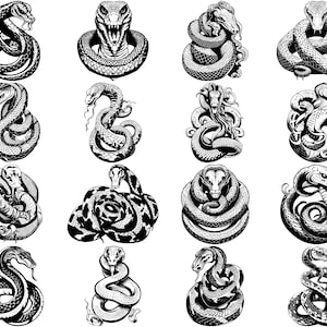 100+ Snake King Cobra, Instant Digital Download, PNG, SVG Cut Files - Etsy