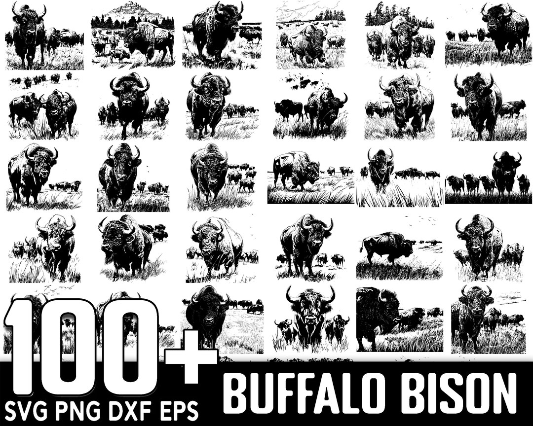 100+ Buffalo Bison SVG Bundle, Instant Digital Download, PNG, SVG Cut ...