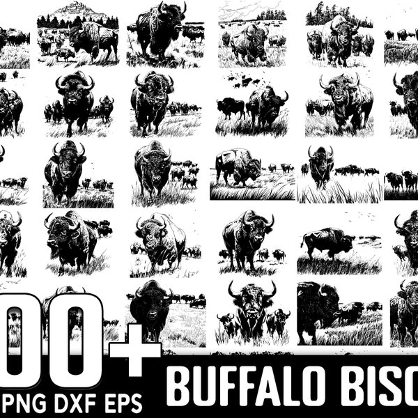 Buffalo Svg - Etsy