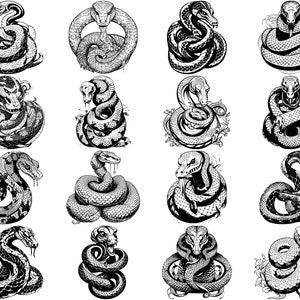 100+ Snake King Cobra, Instant Digital Download, PNG, SVG Cut Files - Etsy