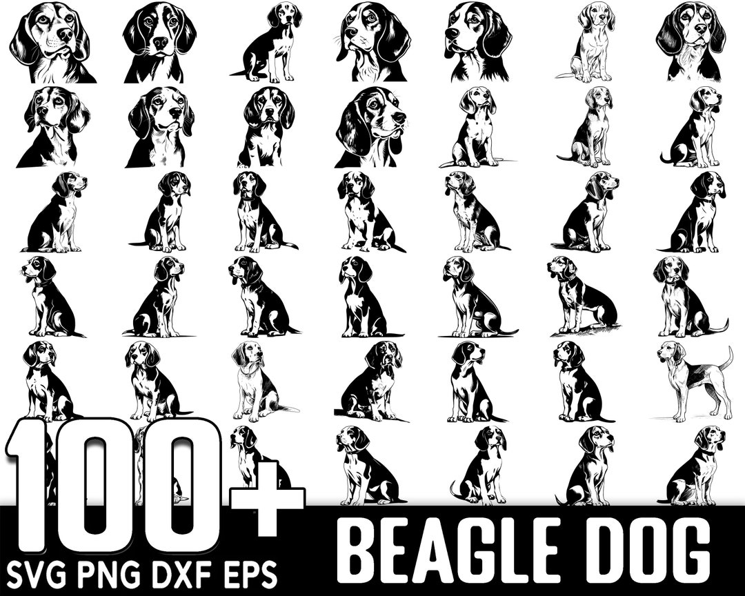 100+ Beagle Dog SVG Bundle, Instant Digital Download, PNG, SVG Cut ...