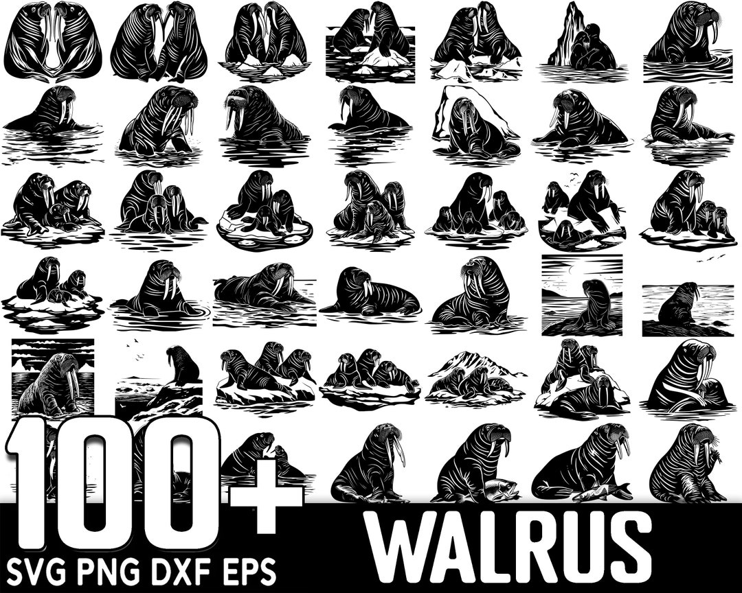 100+ Walrus SVG Bundle, Instant Digital Download, PNG, SVG Cut Files - Etsy