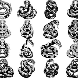 100+ Snake King Cobra, Instant Digital Download, PNG, SVG Cut Files - Etsy
