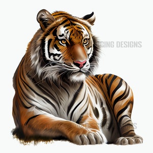 Tiger Realistic Clipart, Tiger Clip Art, Premium Quality Arts, Instant ...