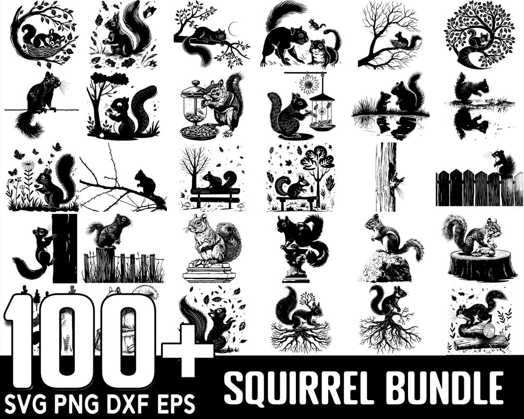 Squirrel SVG Bundle,instant Digital Download, PNG, SVG Cut Files - Etsy