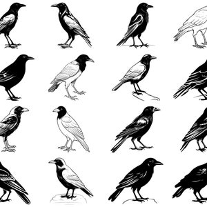 100+ Crow SVG Bundle, Instant Digital Download, PNG, SVG Cut Files - Etsy