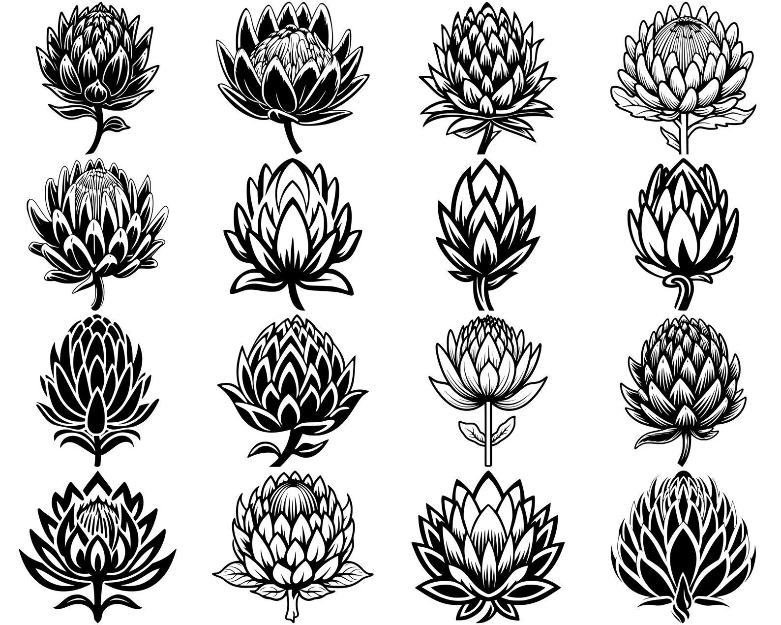 100+ Protea Flower SVG Bundle,instant Digital Download, PNG, SVG Cut ...