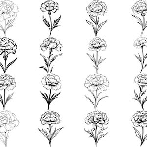 100+ Carnation Flower SVG Bundle, Instant Digital Download, PNG, SVG ...
