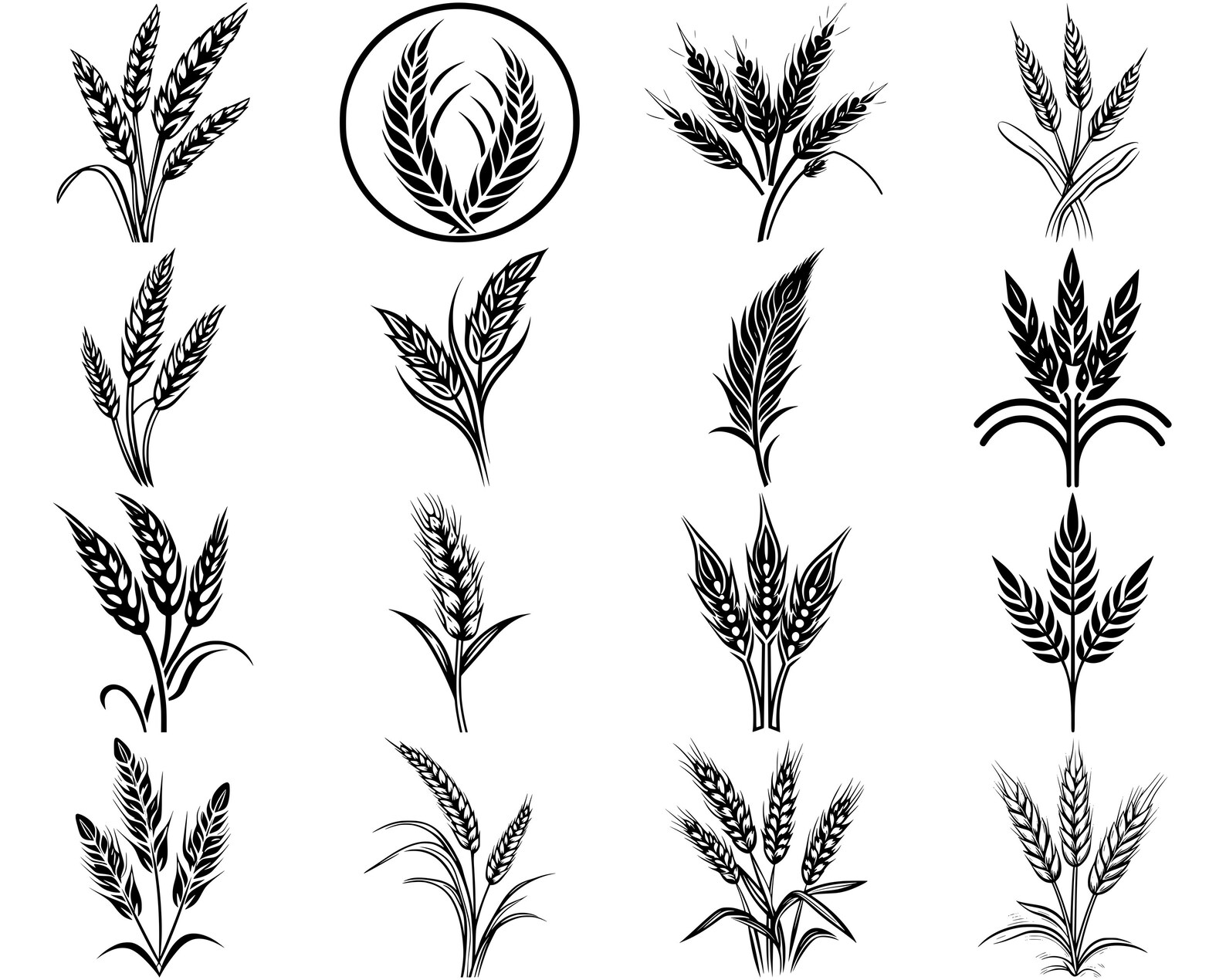 100+ Wheat Grain SVG Bundle, Instant Digital Download, PNG, SVG Cut ...