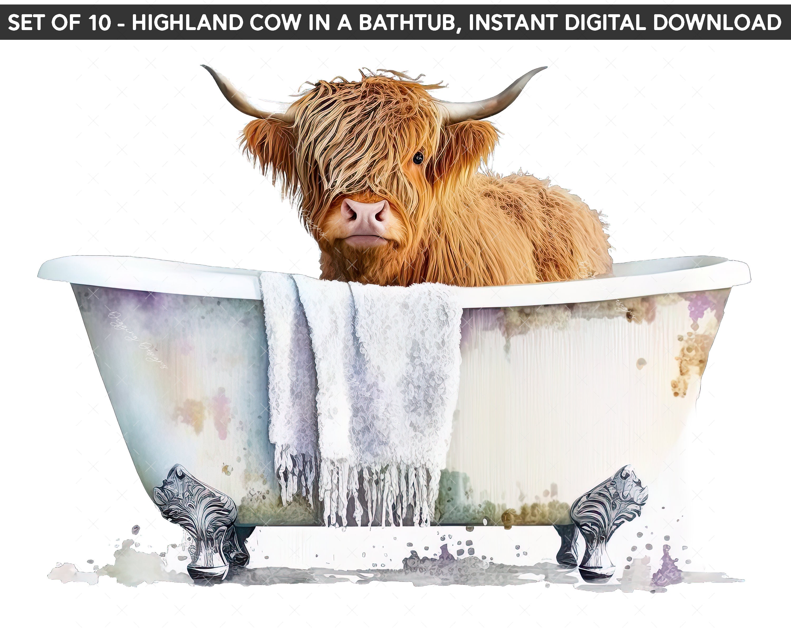 Highland Cow in Bathtub High Quality Highland Cow Png Bundle - Etsy