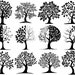100+ Unique Trees SVG Bundle, Instant Digital Download, PNG, SVG Cut ...