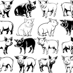 100+ Pig Pose SVG Bundle, Instant Digital Download, PNG, SVG Cut Files ...