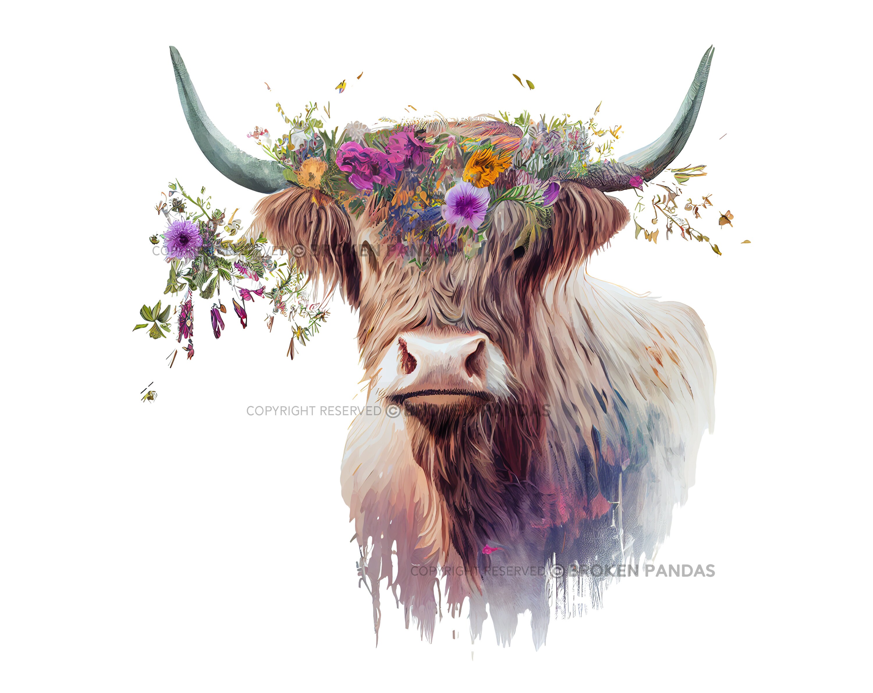 Set of 21 Highland Cow Clipart Watercolor Clipart Highland - Etsy