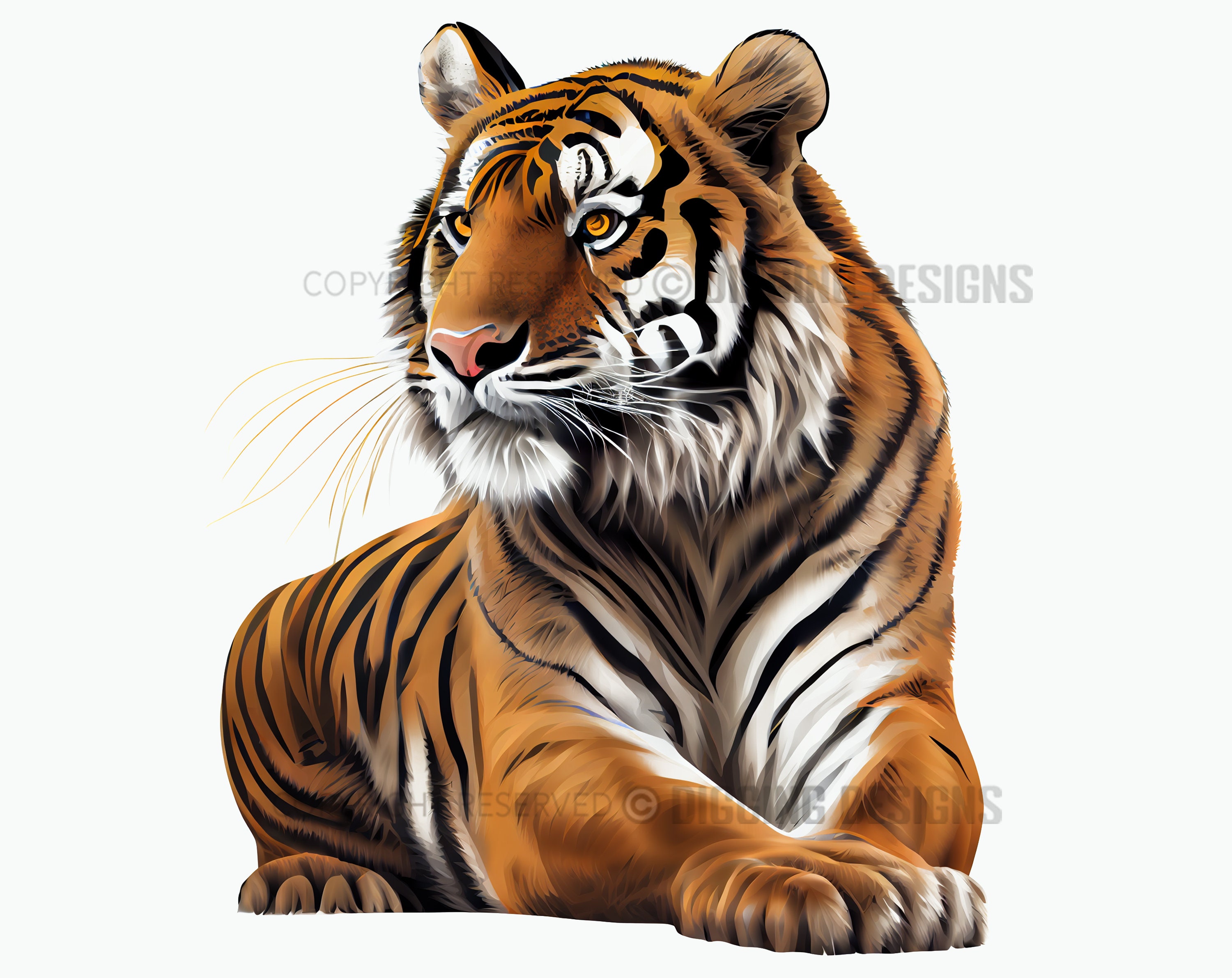 Tiger Realistic Clipart Tiger Clip Art Premium Quality Arts - Etsy UK