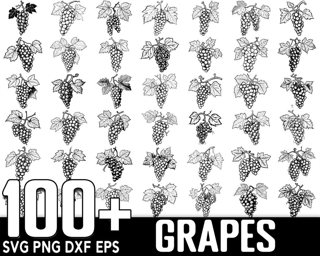 100+ Wine Grapes SVG Bundle, Instant Digital Download, PNG, SVG Cut ...