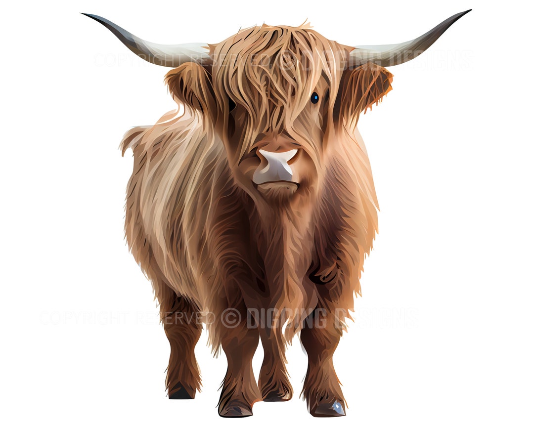 Set of 21 Highland Cow Clipart Animal Clip Art Highland Cow - Etsy