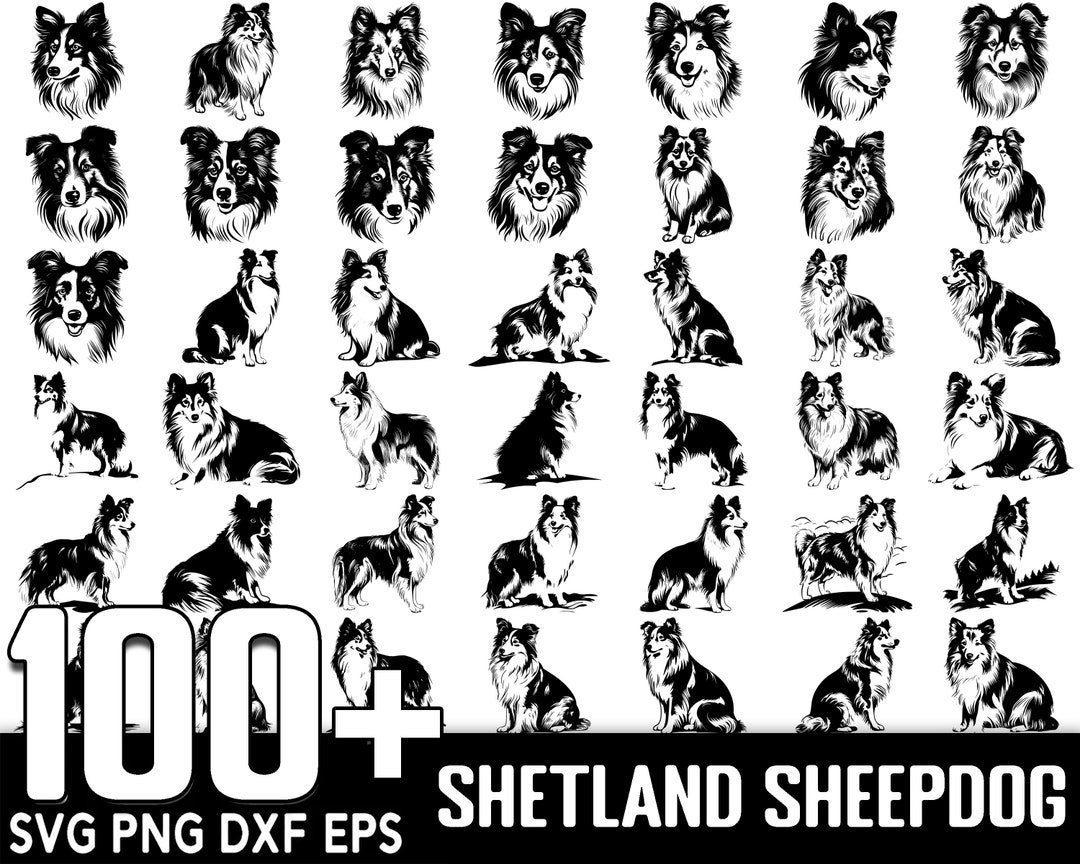 100+ Shetland Sheepdog SVG Bundle, Instant Digital Download, PNG, SVG ...
