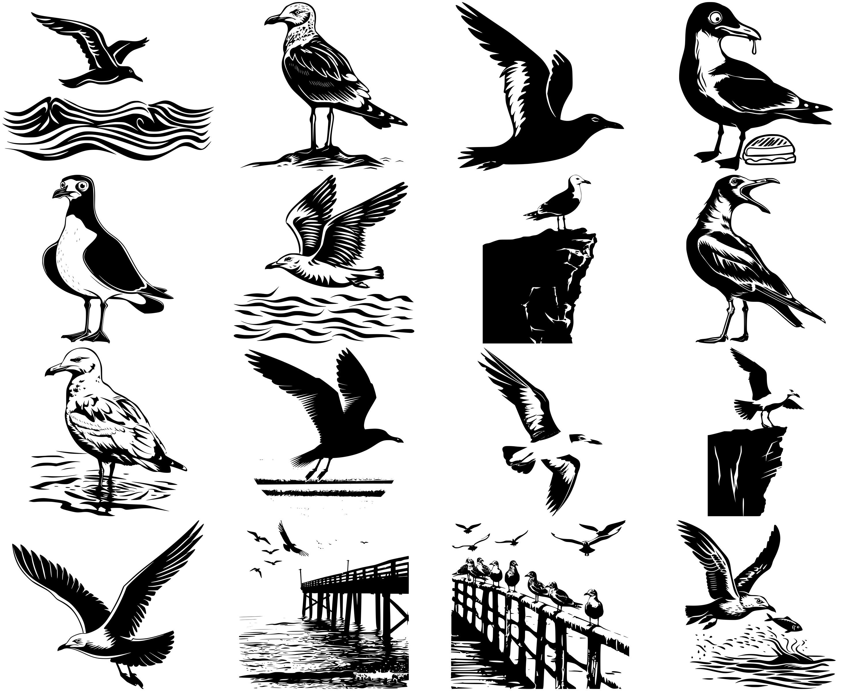 100+ Seagull SVG Bundle, Instant Digital Download, PNG, SVG Cut Files ...