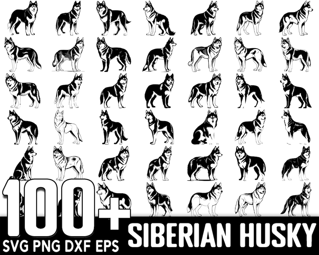 100+ Siberian Husky SVG Bundle, Instant Digital Download, PNG, SVG Cut ...