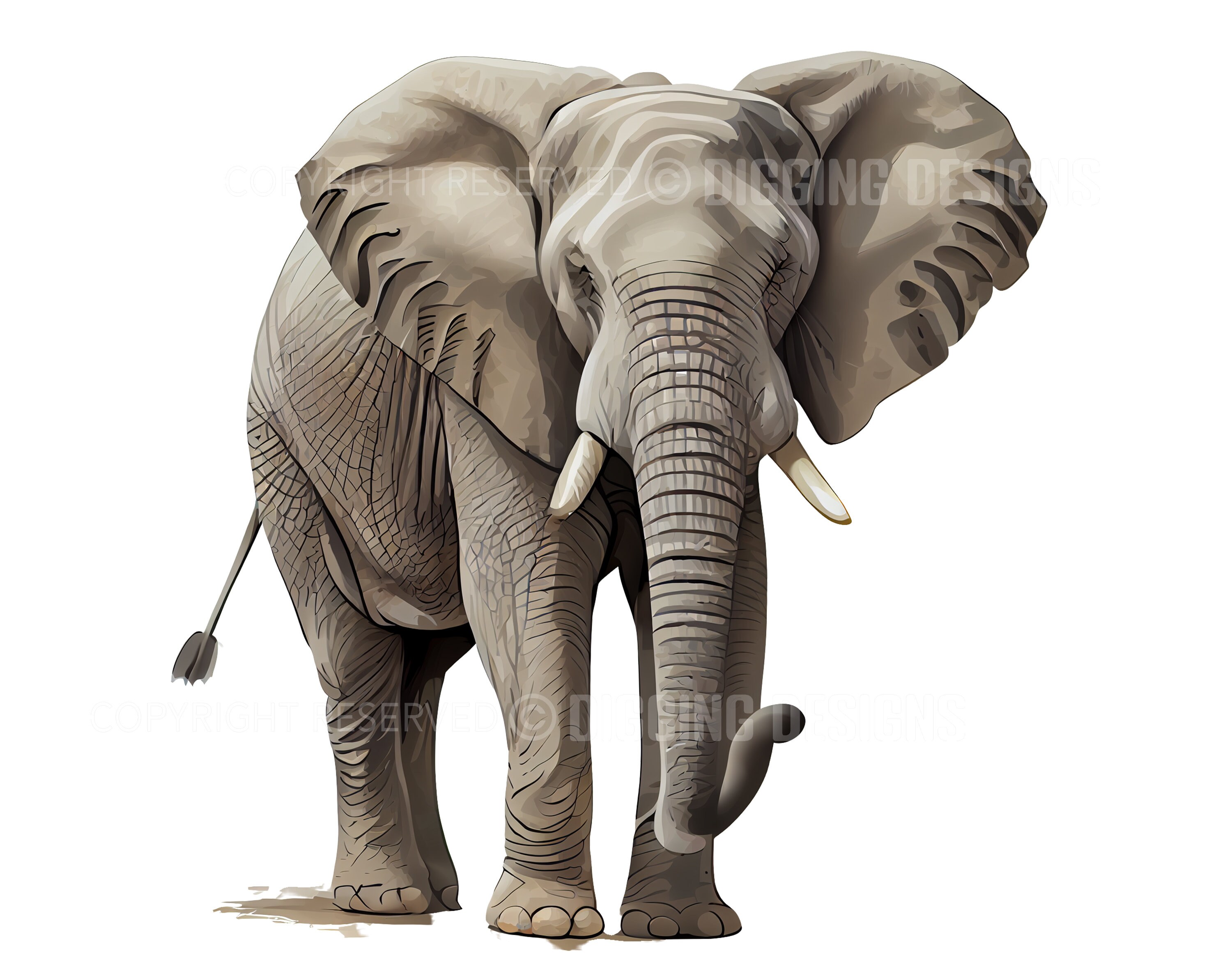 Set of 21 Elephant Realistic Clipart Animal Clip Art - Etsy