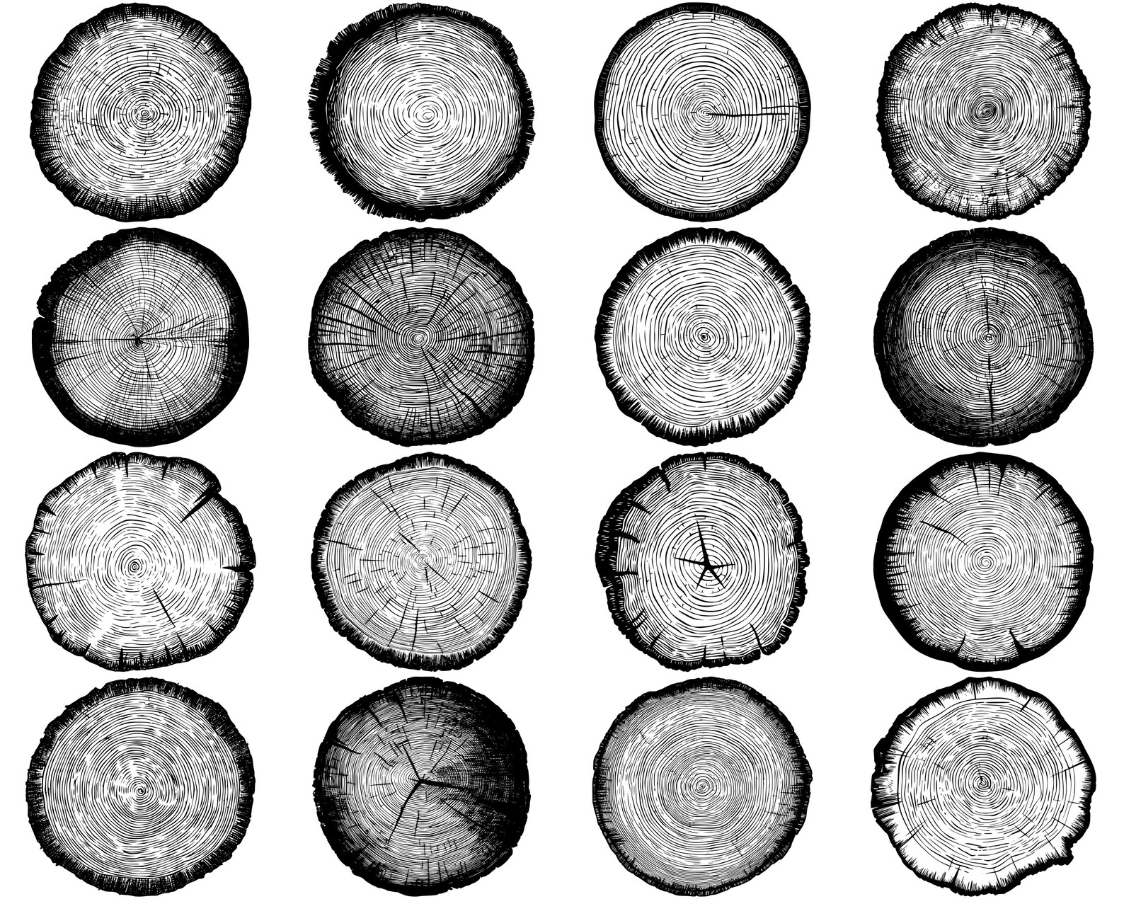 100+ Tree Slice Slab SVG Bundle, Instant Digital Download, PNG, SVG Cut ...