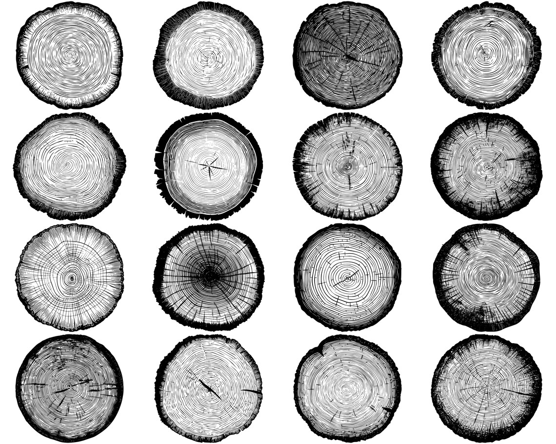 100+ Tree Slice Slab SVG Bundle, Instant Digital Download, PNG, SVG Cut ...