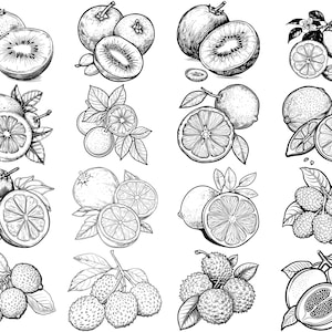 Fruits SVG Bundle,instant Digital Download, PNG, SVG Cut Files - Etsy