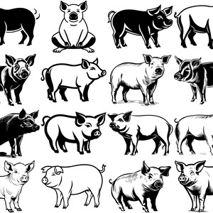 100+ Pig Pose SVG Bundle, Instant Digital Download, PNG, SVG Cut Files ...