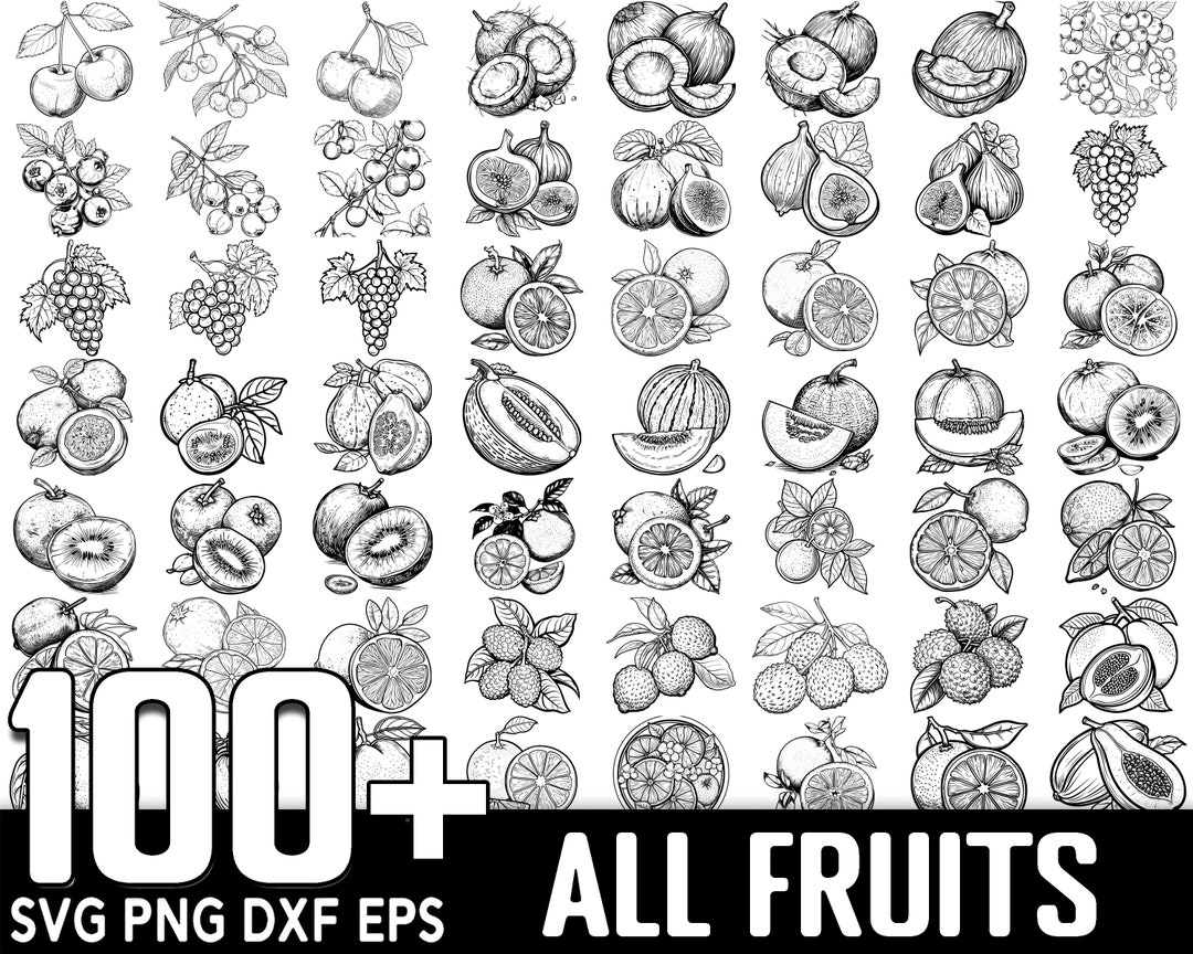 Fruits SVG Bundle,instant Digital Download, PNG, SVG Cut Files - Etsy