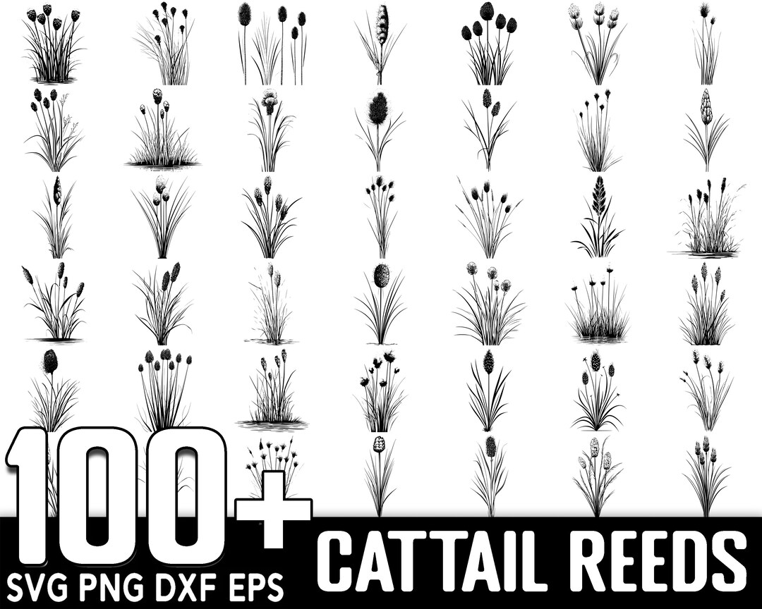 100+ Cattail Reed SVG Bundle, Instant Digital Download, PNG, SVG Cut ...