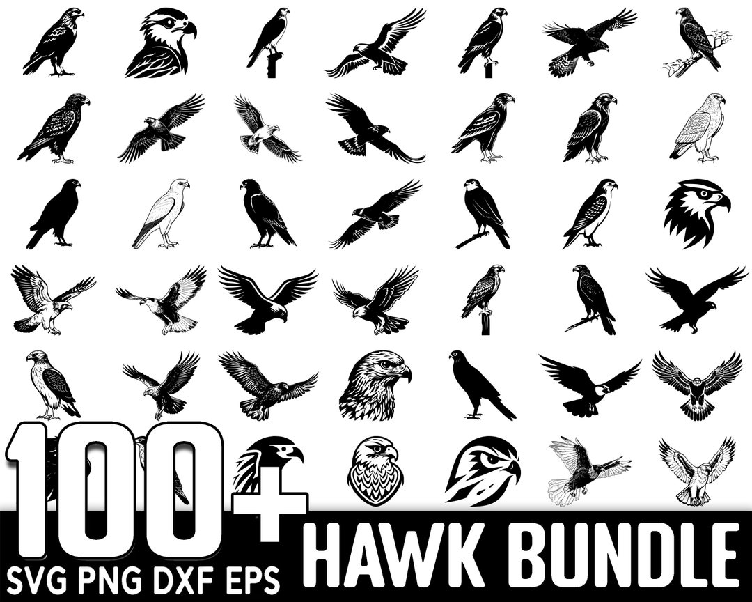 100+ Hawk SVG Bundle, Instant Digital Download, PNG, SVG Cut Files - Etsy