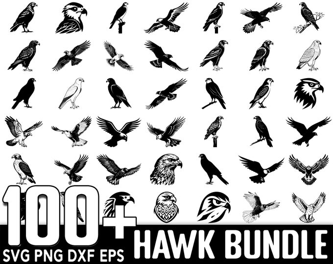 Hawk Fine Line Portrait Clip Art, Printable Bird Coloring Page, Stencil ...