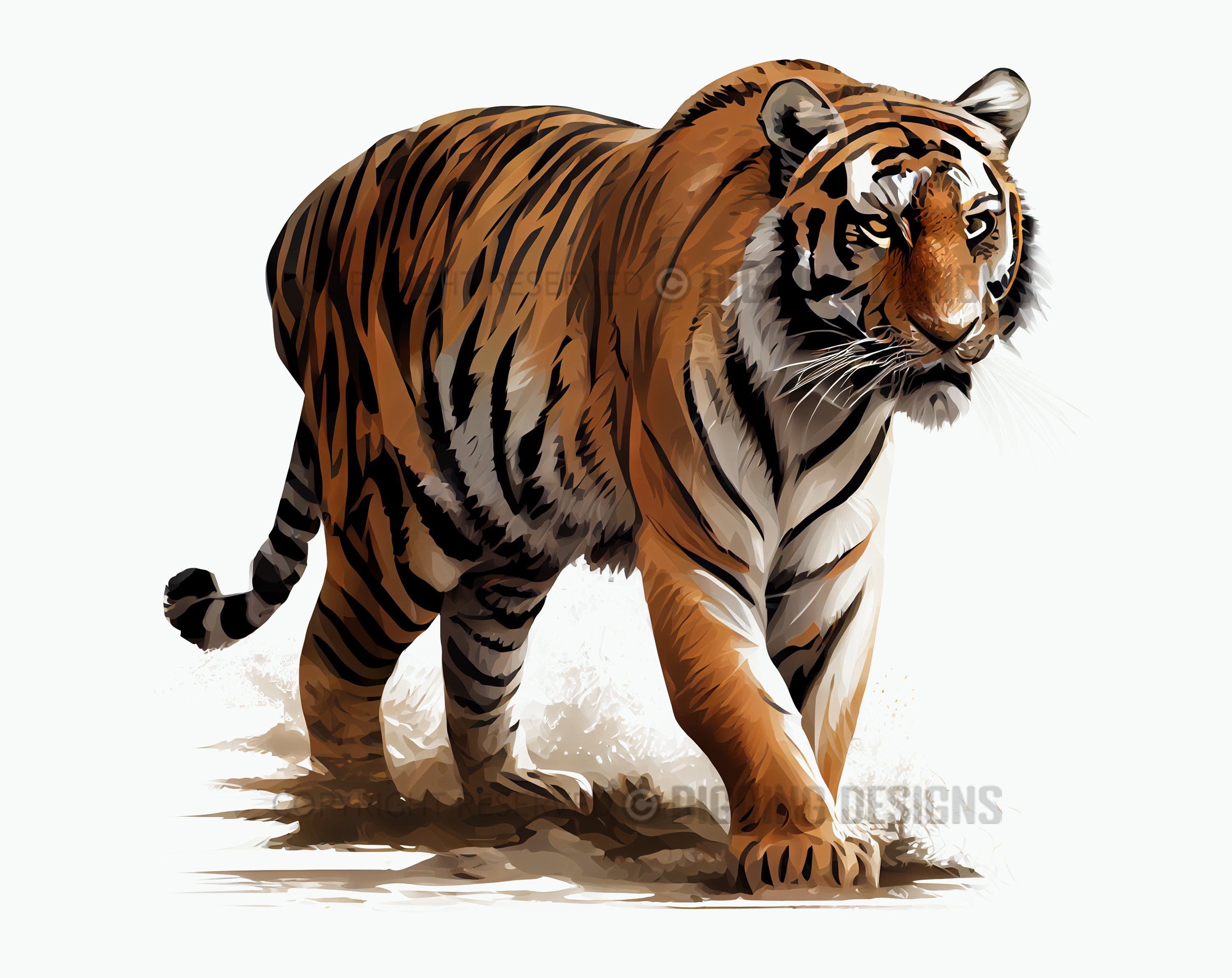 Buy Tiger Realistic Clipart Tiger Clip Art Premium Quality Arts Online ...