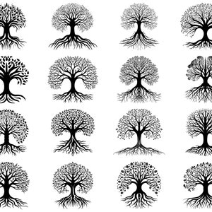 100+ Tree With Roots SVG Bundle, Instant Digital Download, PNG, SVG Cut ...