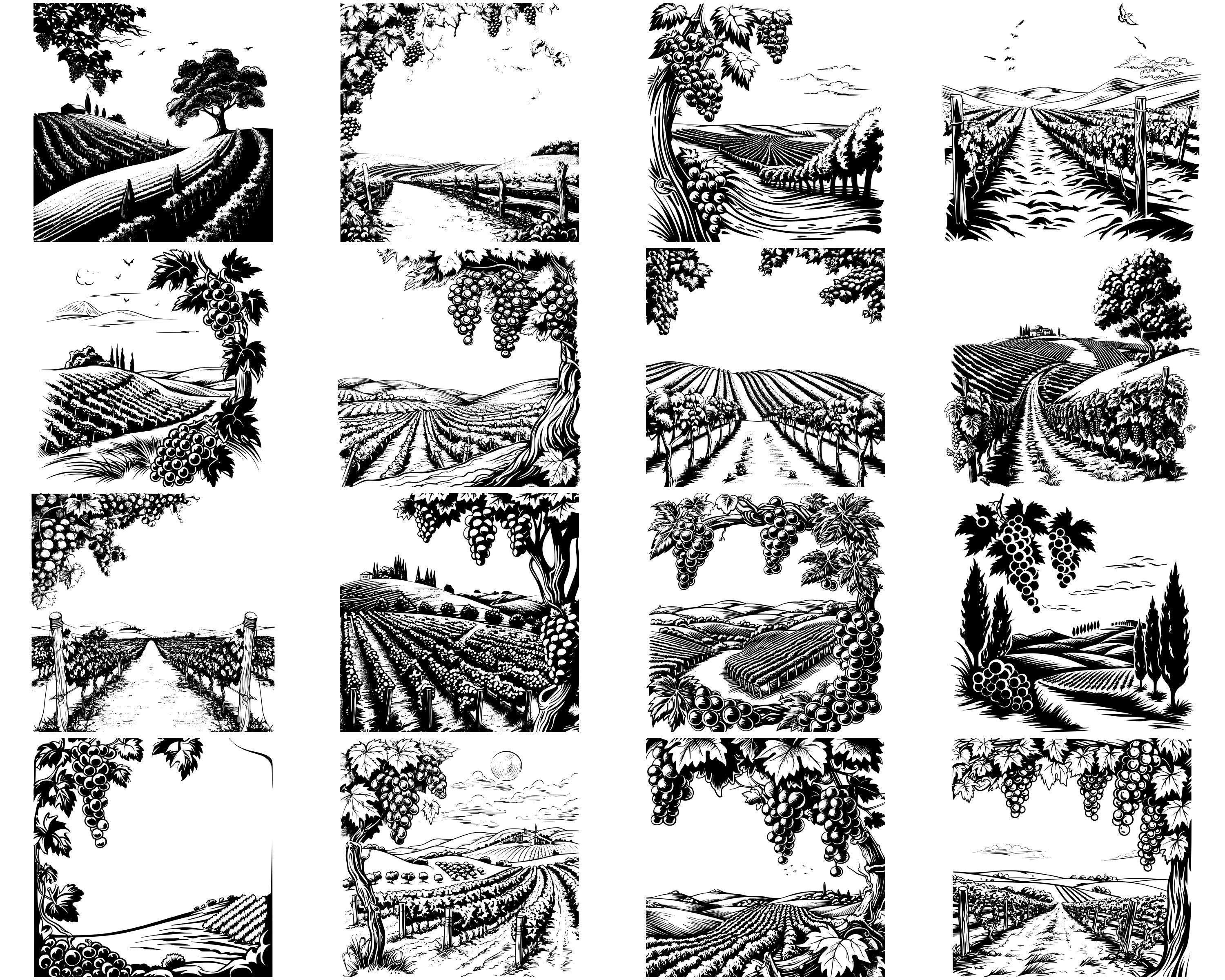 100+ Vineyard Scene SVG Bundle, Instant Digital Download, PNG, SVG Cut ...