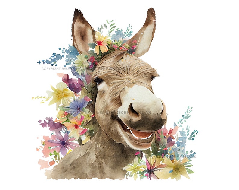 Floral Donkey Watercolor Clipart: PNG Donkey Clip Art (digital Download ...