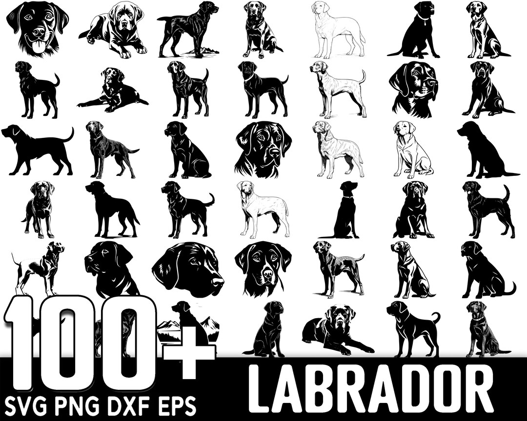 100+ Labrador SVG Bundle, Instant Digital Download, PNG, SVG Cut Files ...