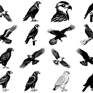 100+ Hawk SVG Bundle, Instant Digital Download, PNG, SVG Cut Files - Etsy